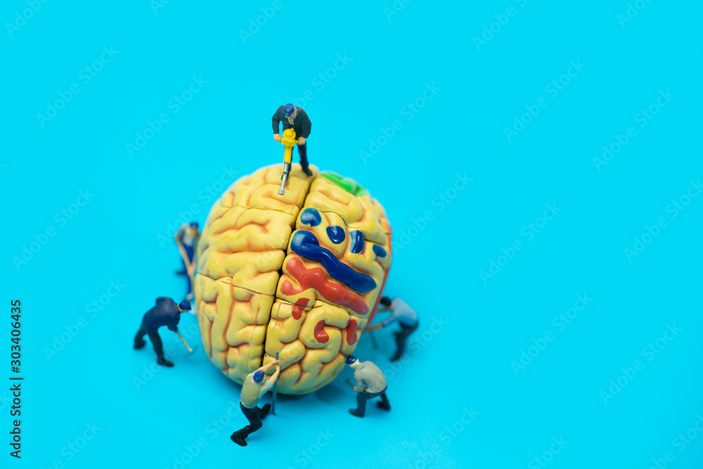 Miniature people :Miniature model with Human brain model on blue ...