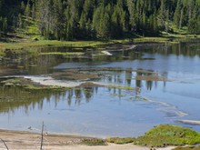 Nymph Lake In Yellowstone Free Stock Photo - Public Domain Pictures