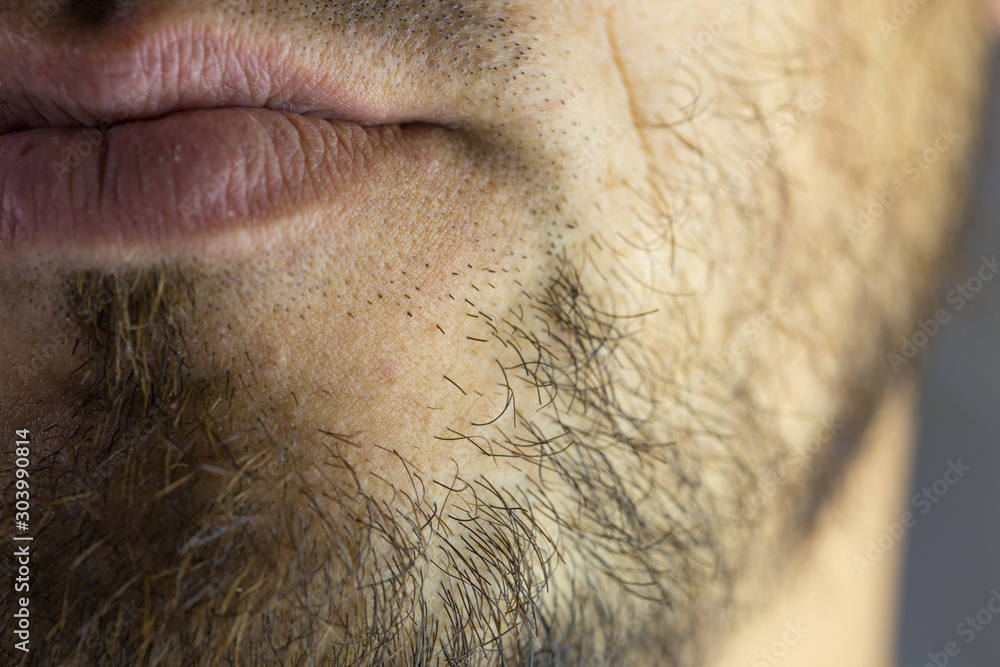 Bearded young man, stubble near. Unshaven more than a week. Hair on the ...