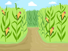 Corn Maze Entrance Free Stock Photo - Public Domain Pictures