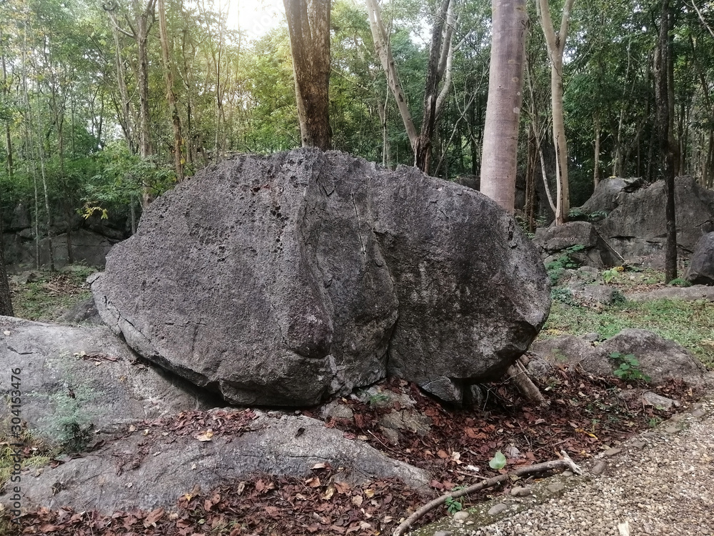 Stock-Foto „Strange stone in the gardent, The limestone and shale are ...