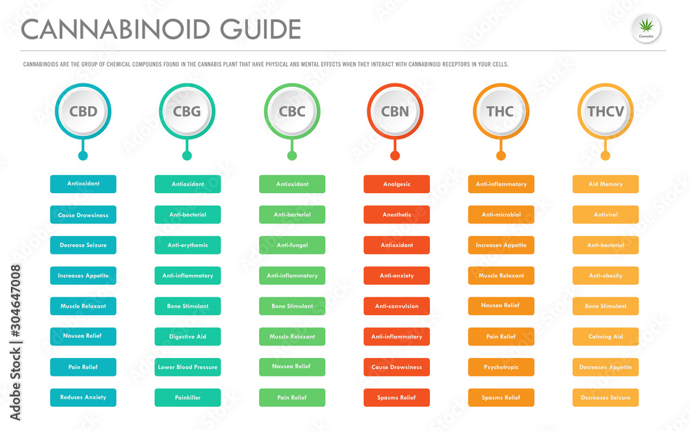 Cannabinoid Guide horizontal business infographic illustration about ...