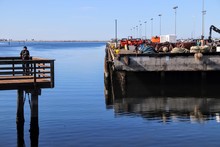 Fishing Off The Pier Free Stock Photo - Public Domain Pictures