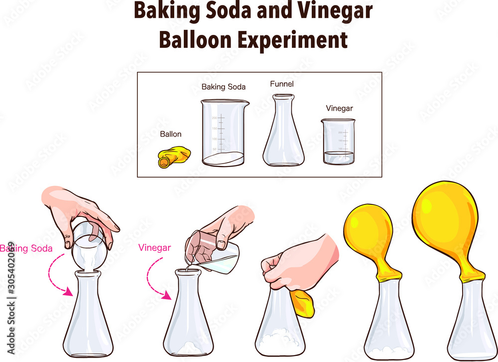 Baking Soda and Vinegar-Balloon Experiment-Science Stock Vector | Adobe ...