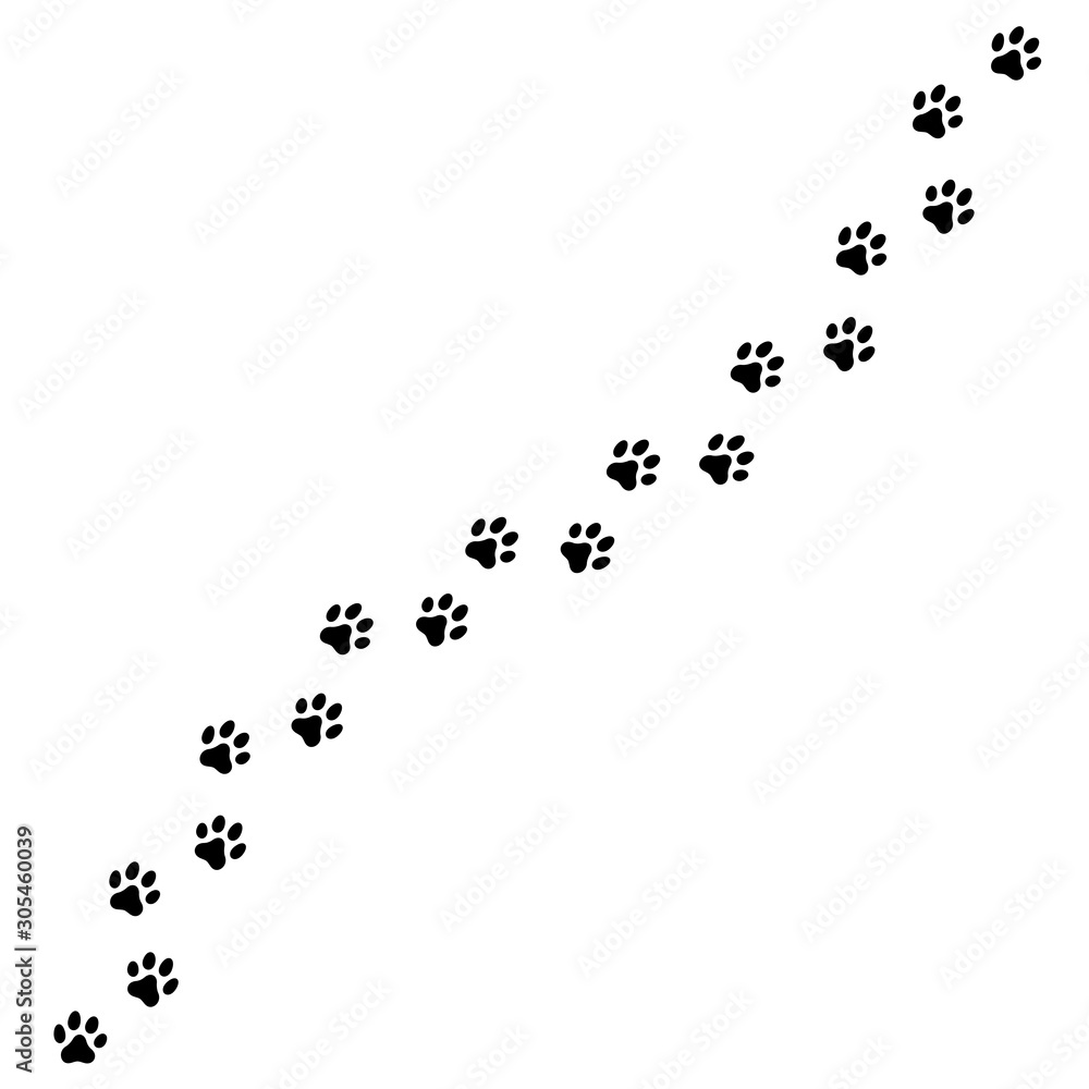 Trail of Dog or Cat tracks vector illustration Stock Vector | Adobe Stock