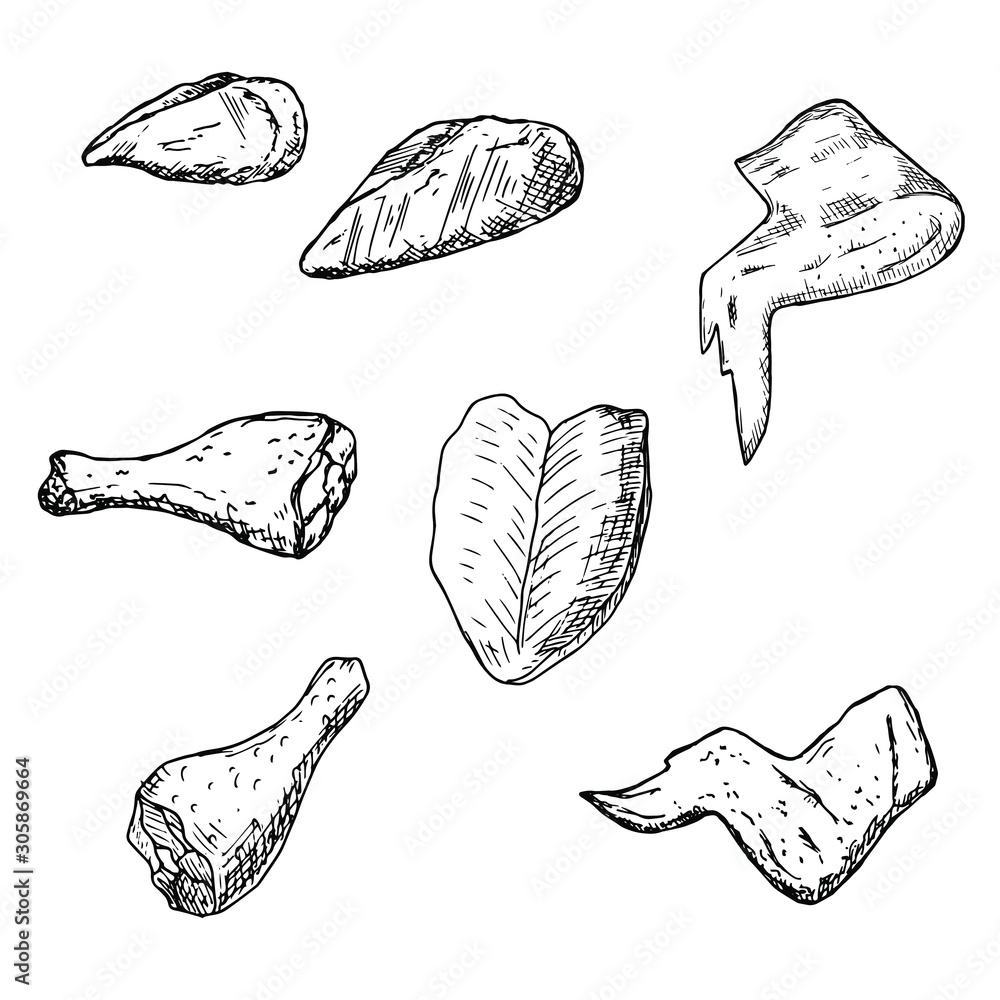 Hand-drawn isolated chicken meat. Vector cartoon illustrations. Stock ...