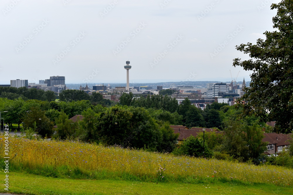 Liverpool city view from a green hill in Everton park with wild flowers ...