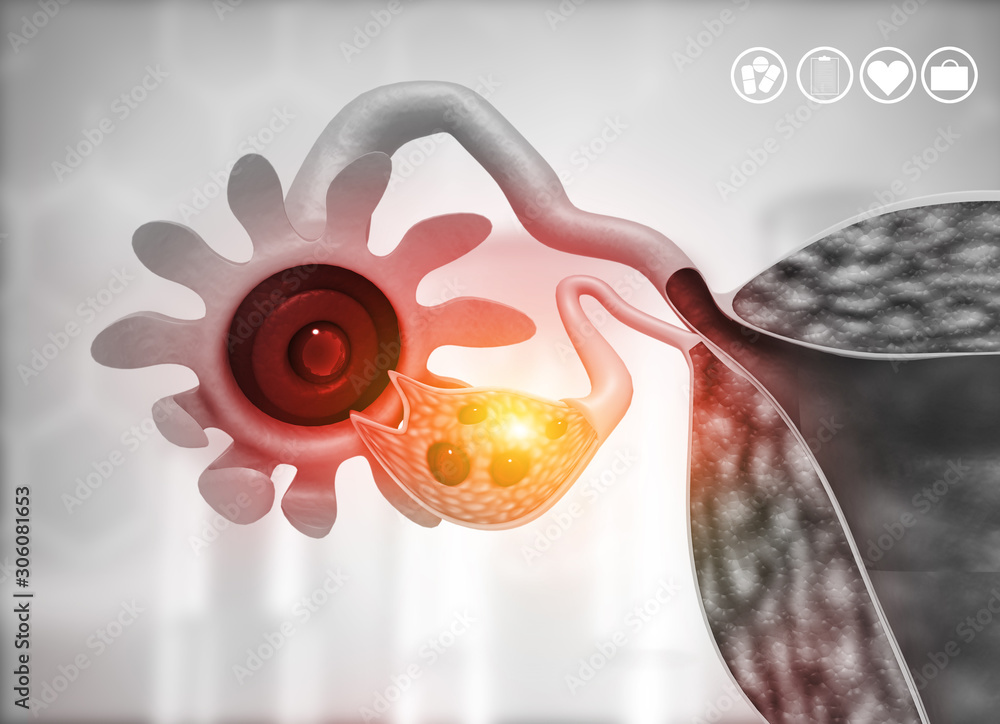 Female ovary anatomy on science background. 3d illustration. Stock ...