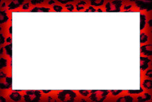 Leopard Print Border Free Stock Photo - Public Domain Pictures