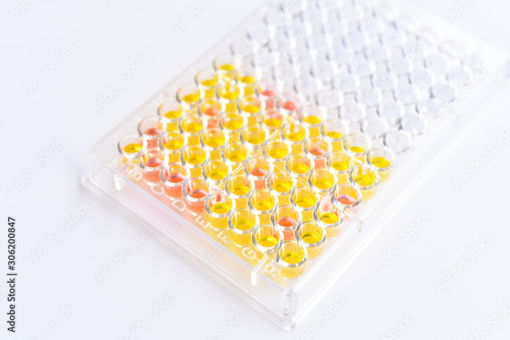 Enzyme-linked immunosorbent assay or ELISA plate, Immunology testing ...