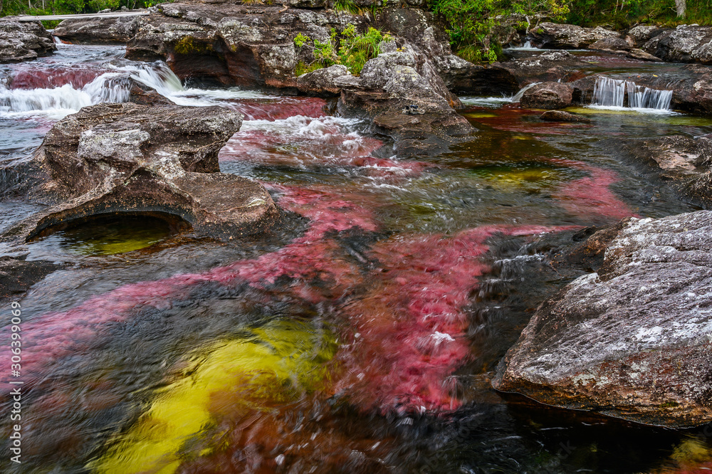 The rainbow river or five colors river is in Colombia one of the most ...