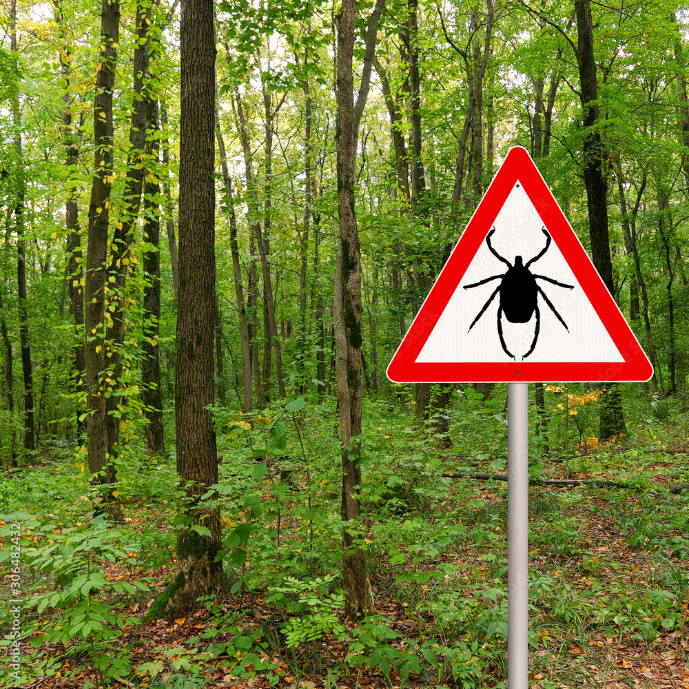 Tick insect warning sign in nature forest. Lyme disease and tick-borne ...