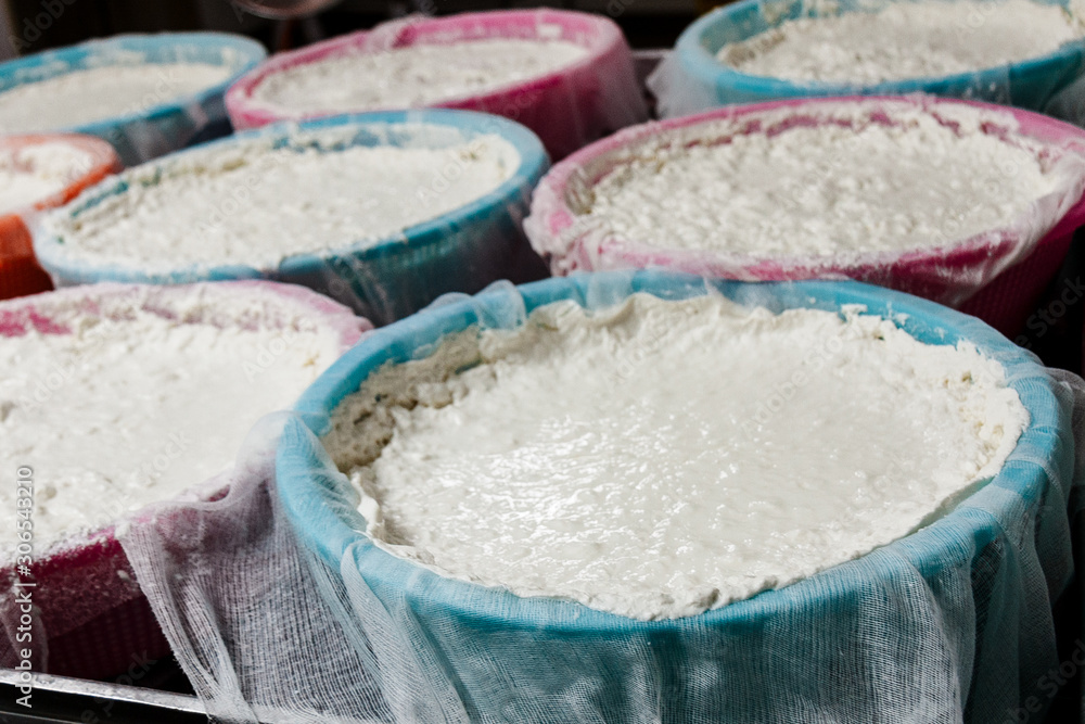 Cuajada de leche fermentandose para hacer queso de cabra, oveja, vaca ...