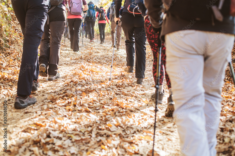 Hiking Group Of People Walking In Nature Stock Photo | Adobe Stock