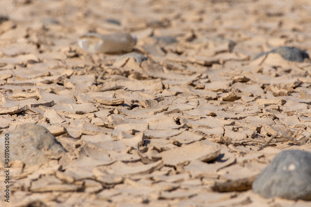 Foto de Stock Dried Mud Design in the Sunshine in the desert of the ...