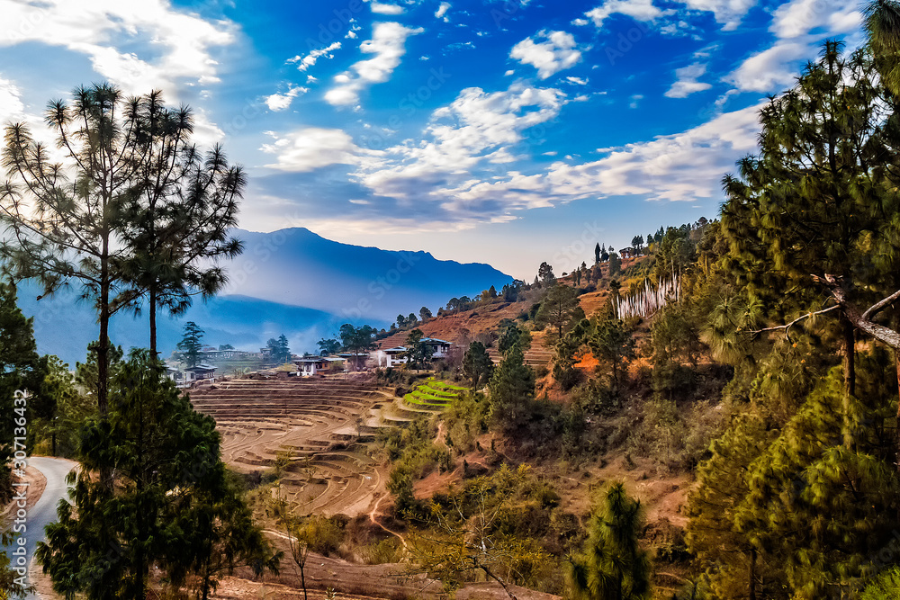 Terraced rice field withs rural houses and group of white prayer ...