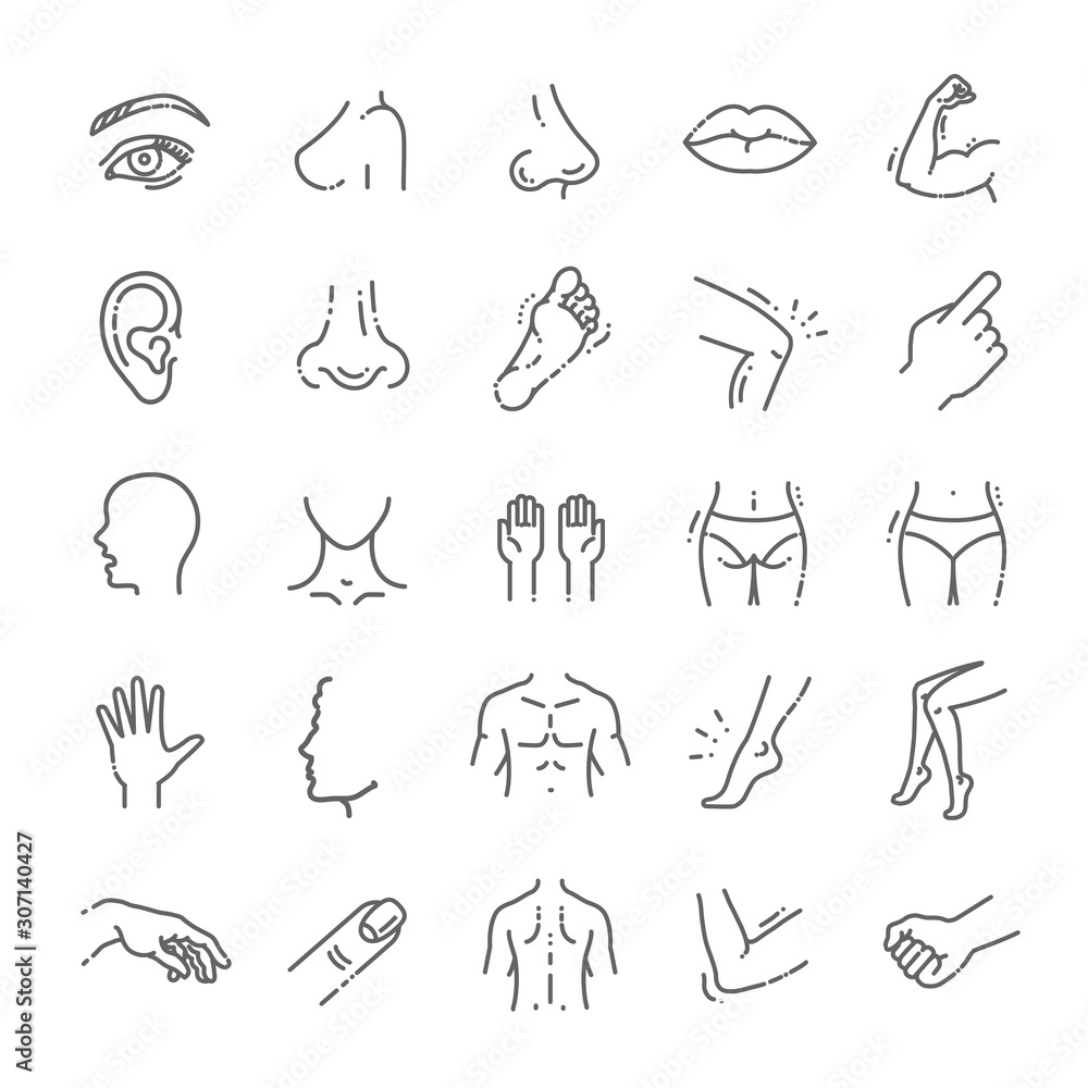 human body parts icons plastic face surgery, medical vector icons Stock ...