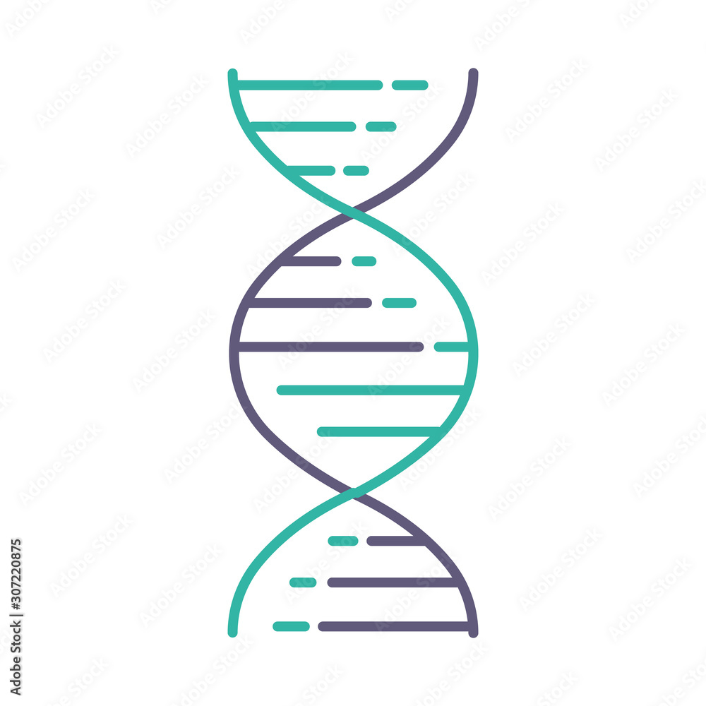 DNA double helix violet and turquoise color icon. Deoxyribonucleic ...