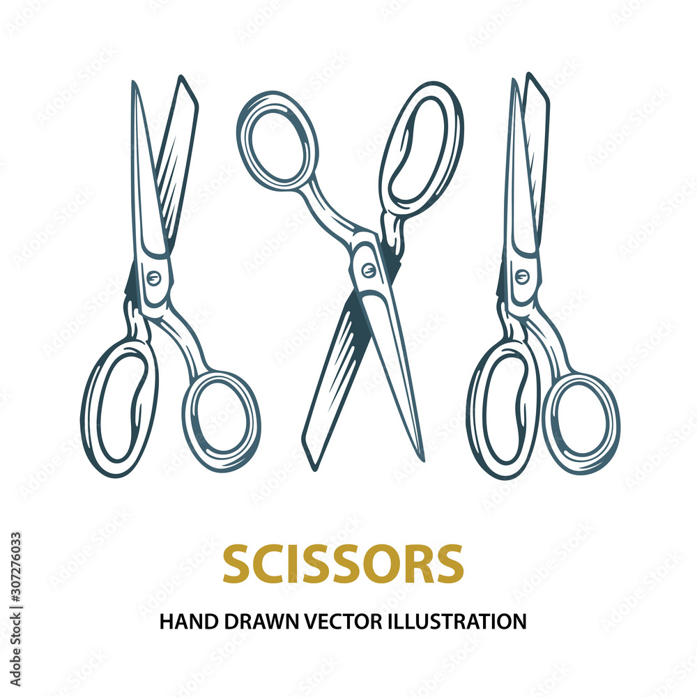 Vector de Stock Scissors. Hand drawn scissors vector illustrations set. Vintage scissors sketch ...