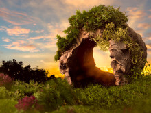 Box Turtle Shell In Hollow Log Free Stock Photo - Public Domain Pictures