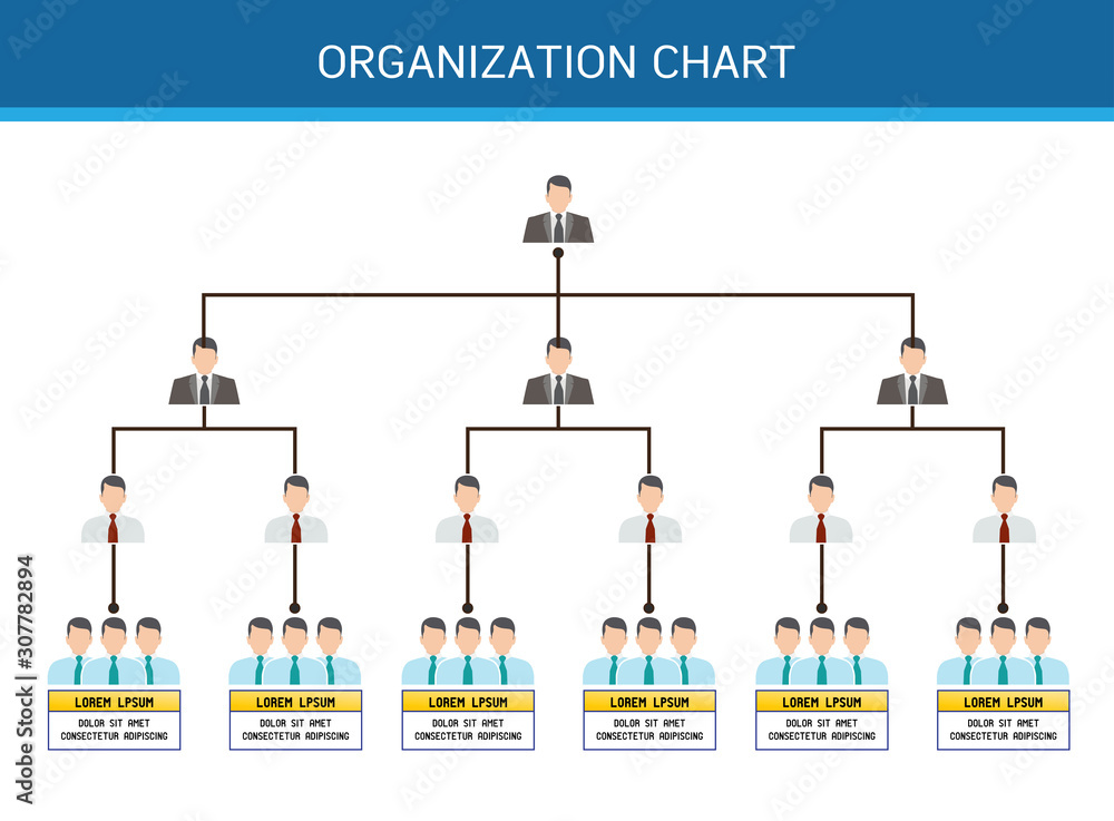 Organization Chart Info graphics, vector design Stock Vector | Adobe Stock