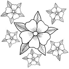 5 Petal Flower Drawing | Best Flower Site