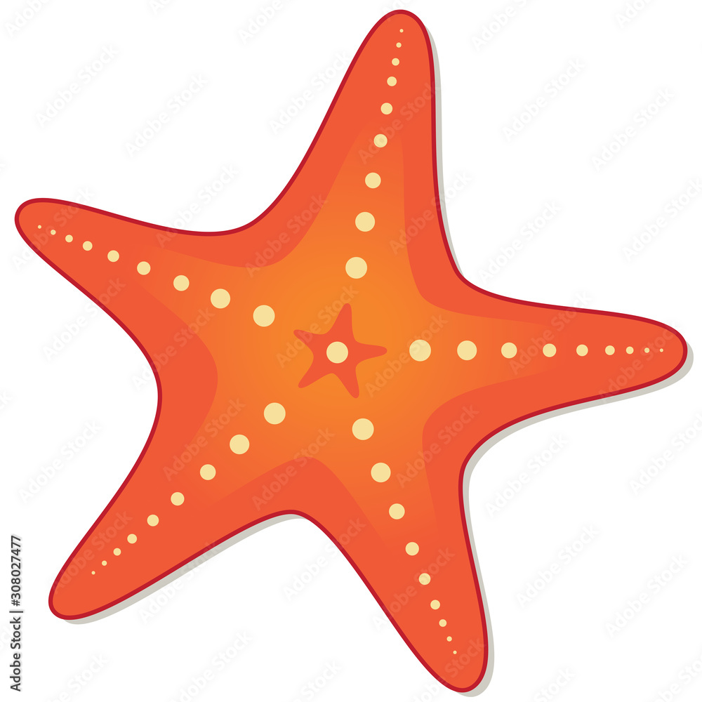Clipart Coral Starfish Coral And Teal Starfish Clip Art At Clker.com