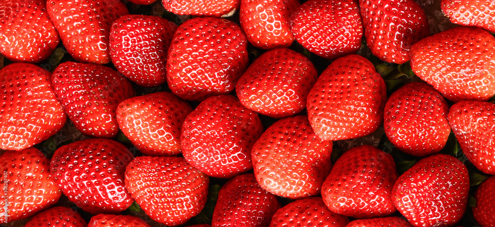 Strawberries red background. Fresh ripe strawberry banner or panorama ...