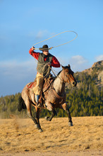 Cowboy Free Stock Photo - Public Domain Pictures