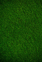 Grass Mat Texture Free Stock Photo - Public Domain Pictures