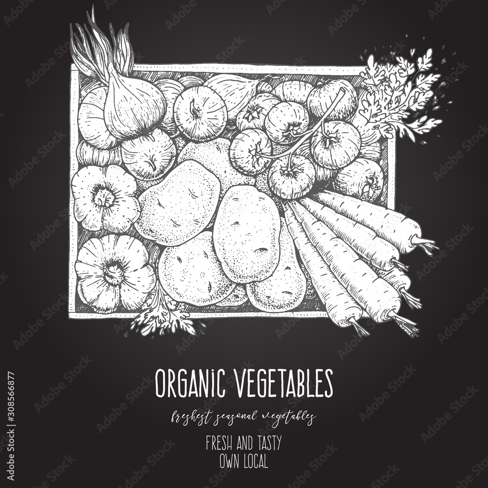Harvest of vegetables in the box. Hand drawn vector illustration ...