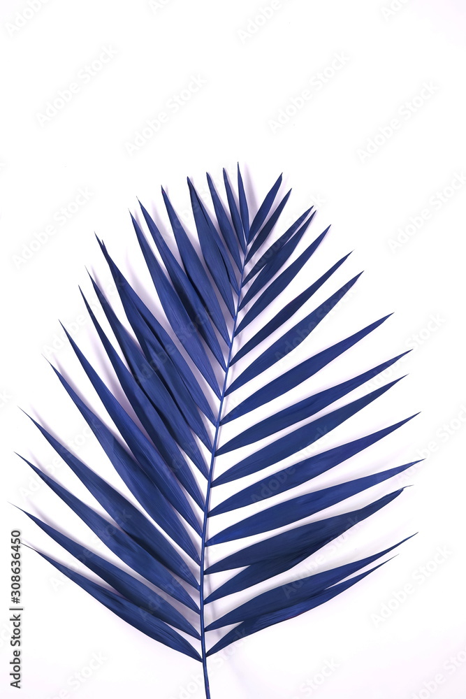 Palm leaf deja vu blue pantone color 2025 isolated on a white ...