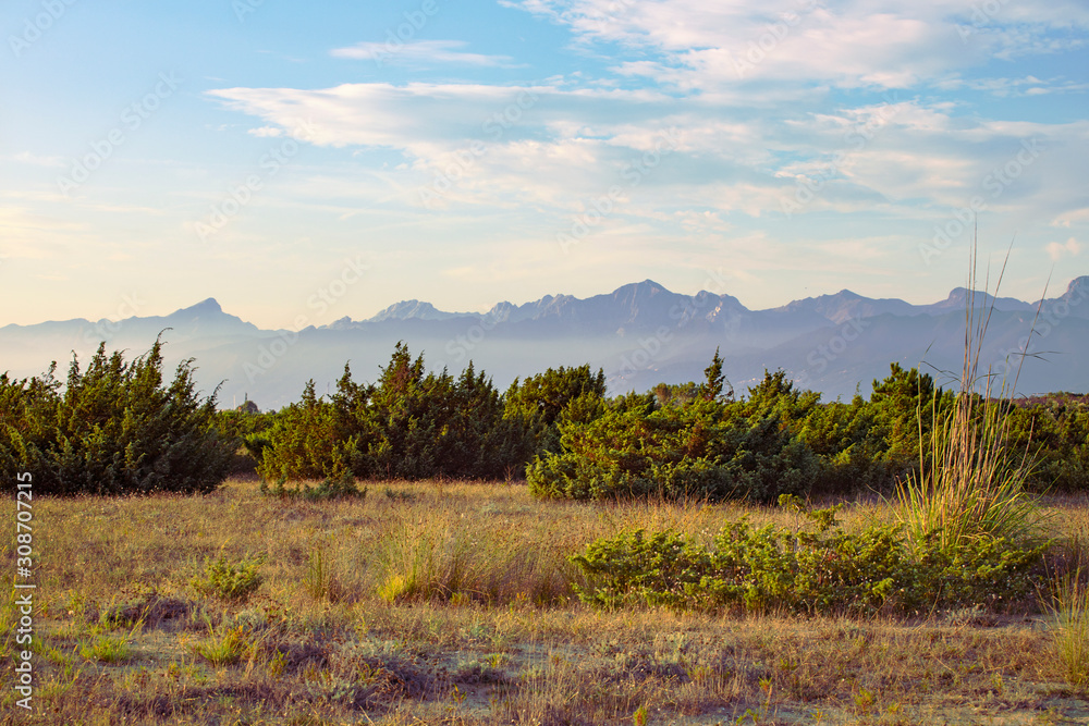 Scenic landscape with mountain range in background. Migliarino san ...