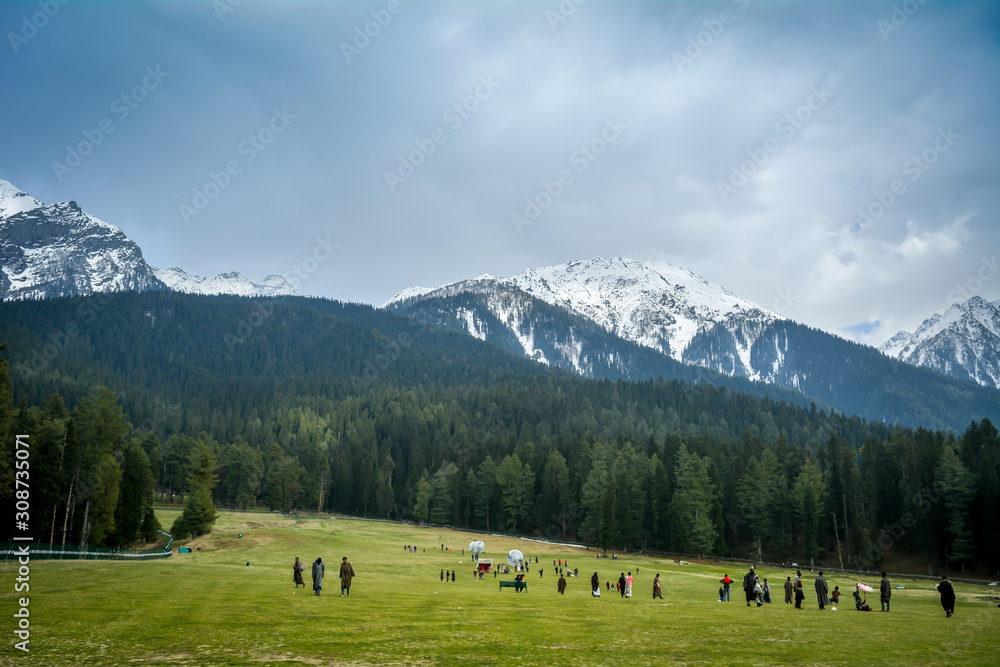 Baisaran Valley, Pahalgam, Jammu and Kashmir, India Stock Photo | Adobe ...