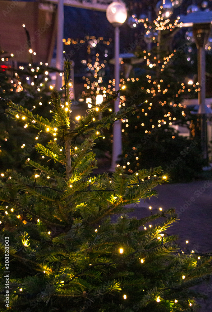 Foto stock di christmas trees with bokeh lights at christmas market ...