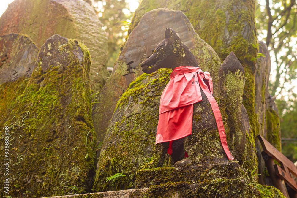 Kyoto. Japan. Statue. Fox at the entrance to a Buddhist temple. Fox ...
