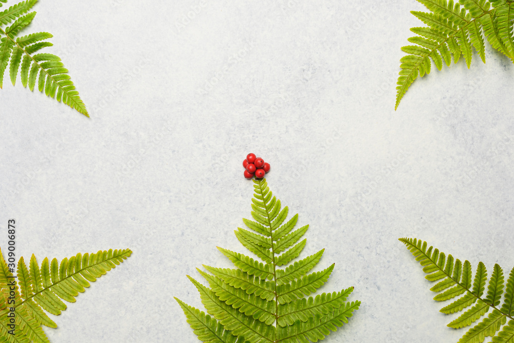 Ferns at the four corners of the frame with center fern topped with a ...