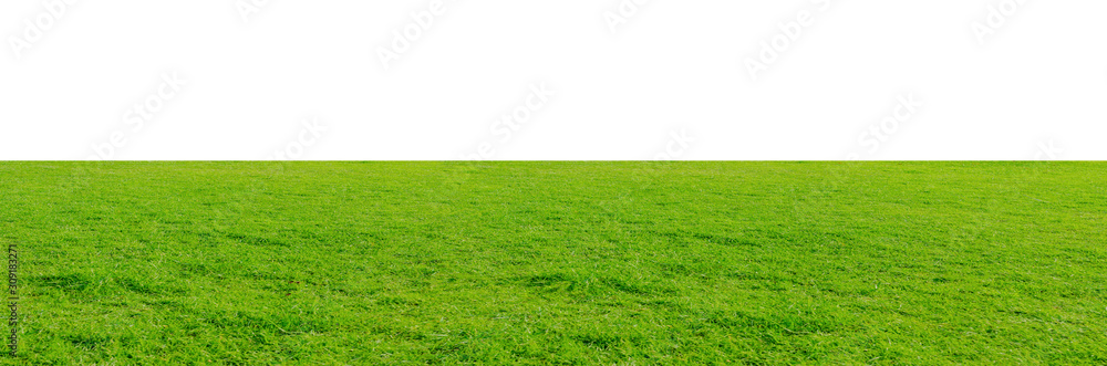 Green grass field isolated on white background with clipping path ...