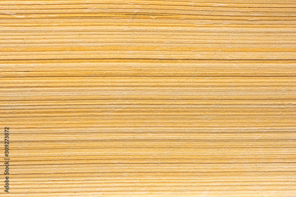 Closed Book Side View