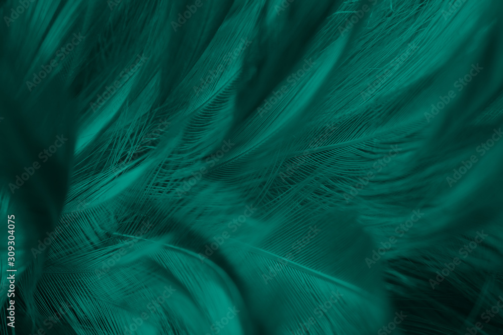 Beautiful dark green viridian vintage color trends feather texture ...