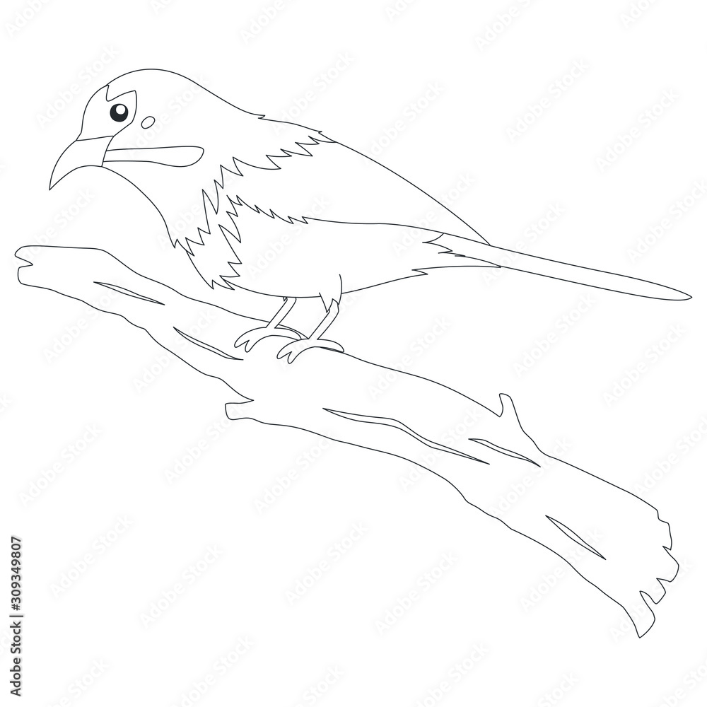 Bird of Indonesia coloring page, Madu Sepah Raja bird (Crimson Sunbird ...