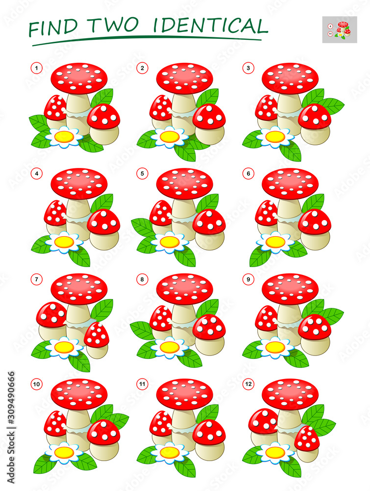 Logic puzzle game for children and adults. Need to find two identical ...