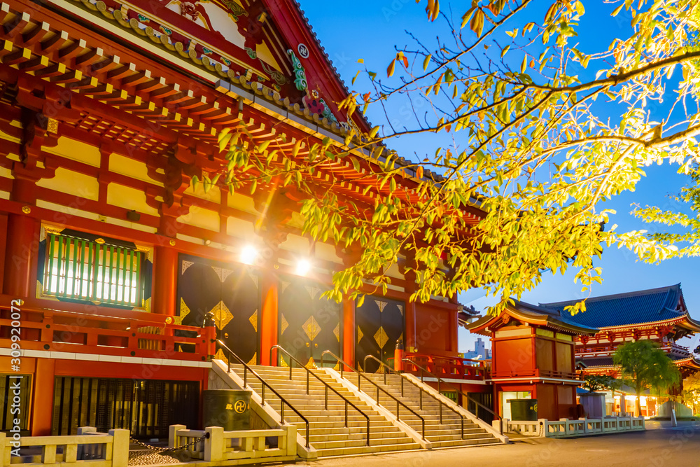 Foto de Stock Japan. Tokyo. Asakusa Temple. Sprig of tree on the ...