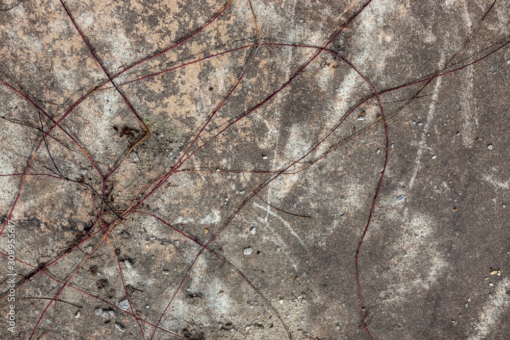 Ground, Wall surface texture for decoration background Stock Photo ...