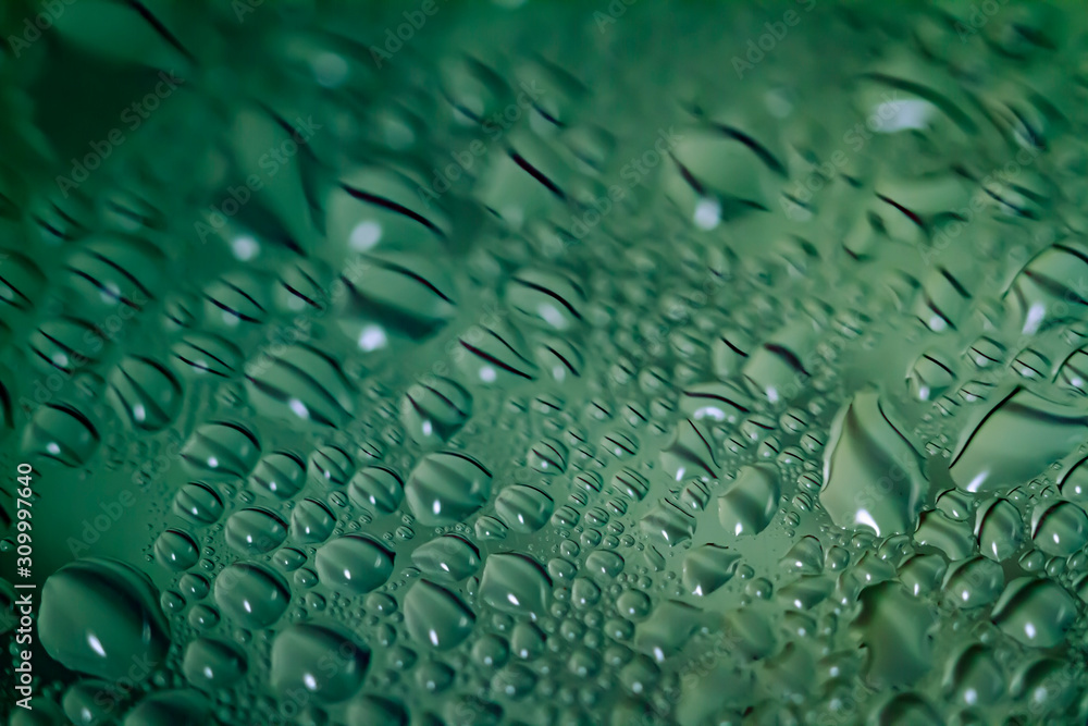macro close-up photo of condensed water drops on transparent clear ...