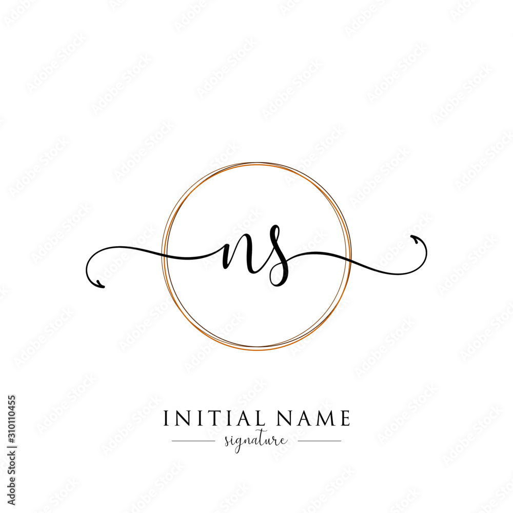 Initial Letter NS Signature Handwriting and Elegant Logo Design Vector ...