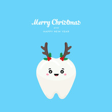 Holly Smiley Free Stock Photo - Public Domain Pictures