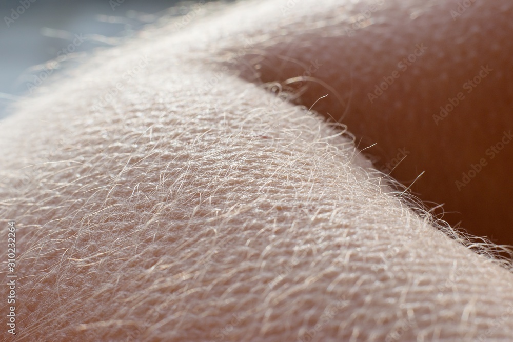 Goose bumps - human skin reaction on the cold Stock Photo | Adobe Stock