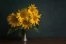Background Of Sunflowers Free Stock Photo - Public Domain Pictures