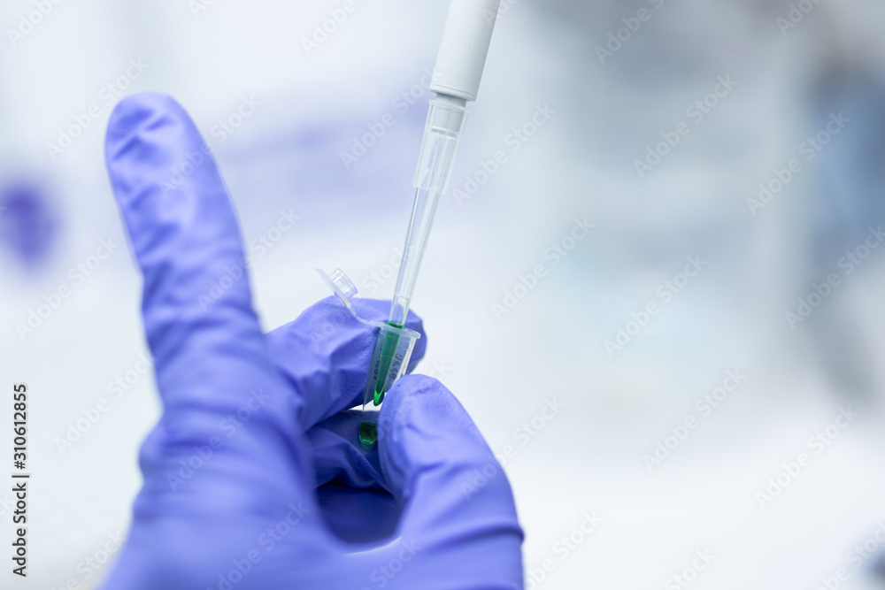 Polymerase Chain Reaction (PCR) and Agarose gel electrophoresis is a ...